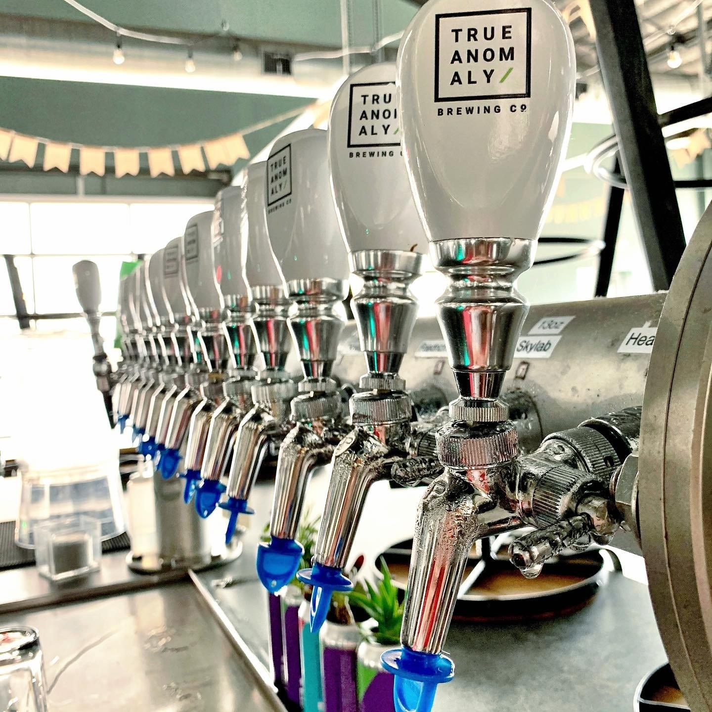 Trivia Tuesday - True Anomaly Brewing Company